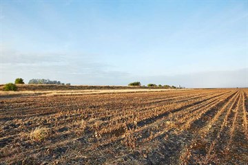 Emerald Solar Farm, Queensland, Australia